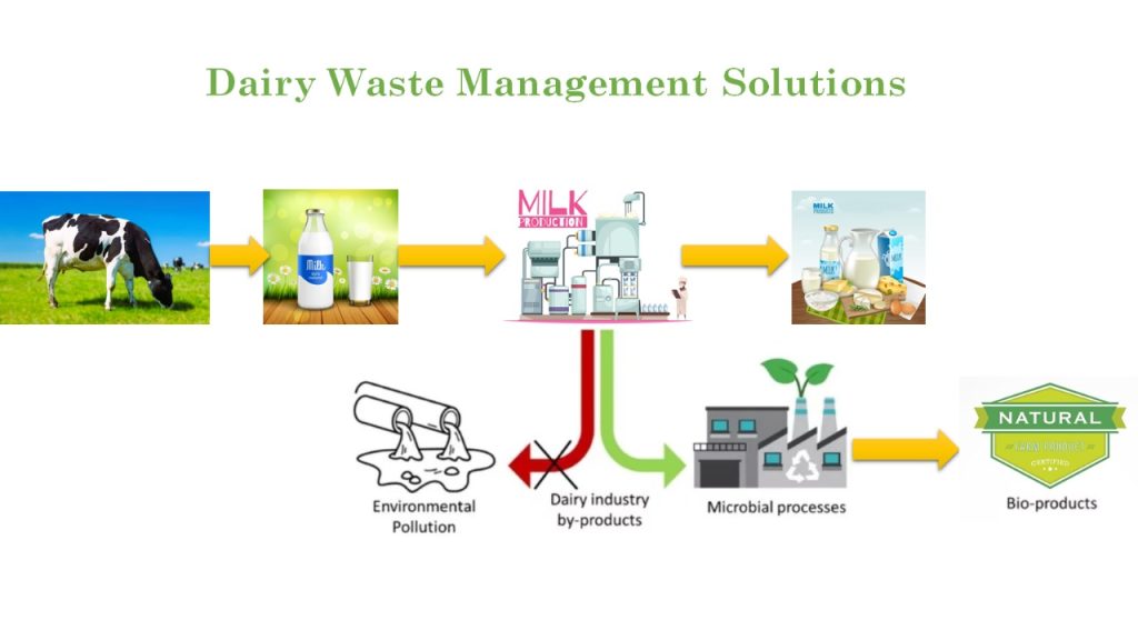Microbial Processes for Dairy Waste – FARZ for Environmental Services